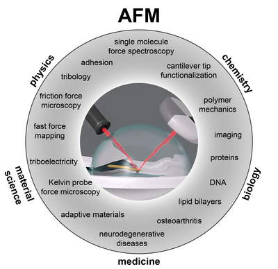 AFM — SingleMolecule